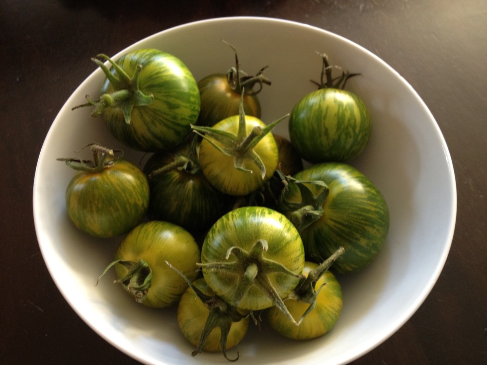 Heirloom Tomato Pizza | Juicy Bites