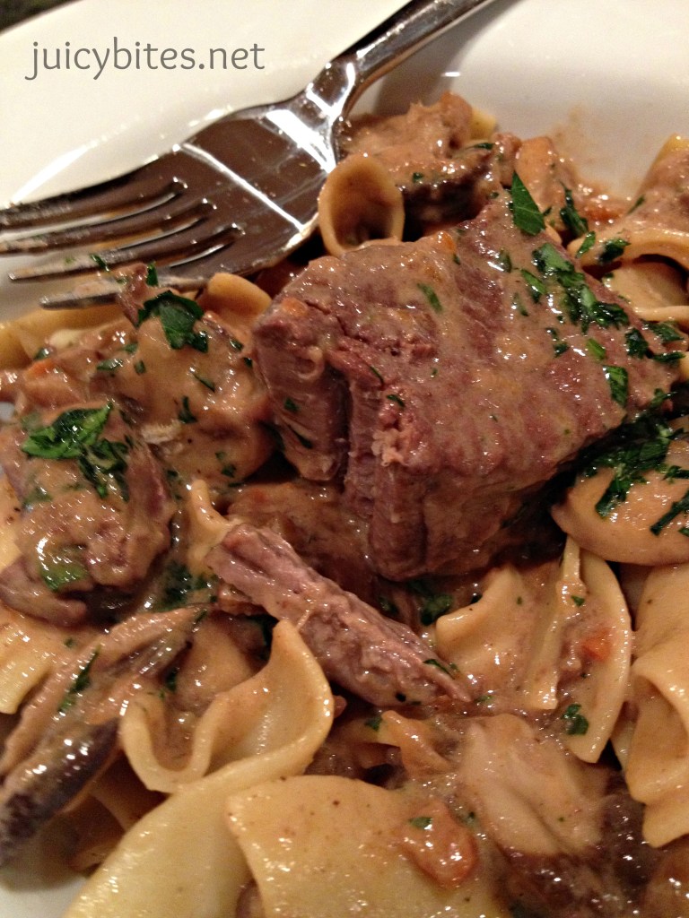 Short Rib Stroganoff | Juicy Bites